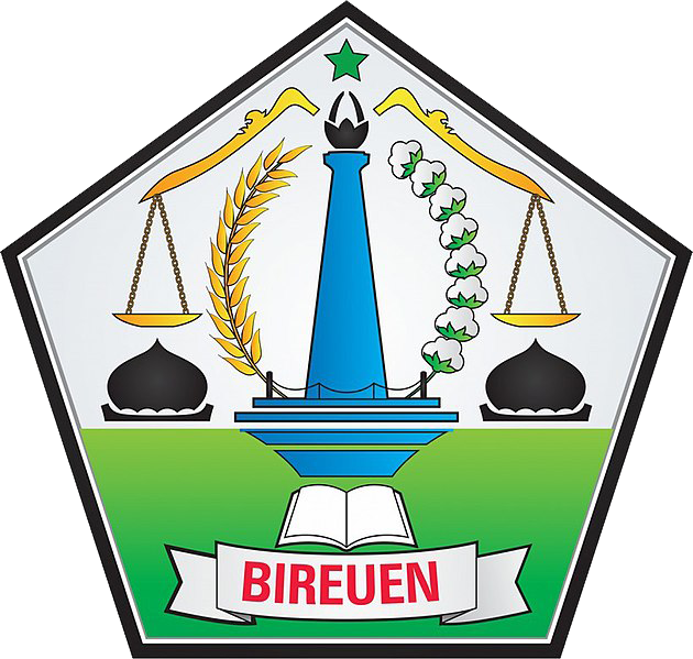 logo_bireuen_07_november_2020_copy1.png